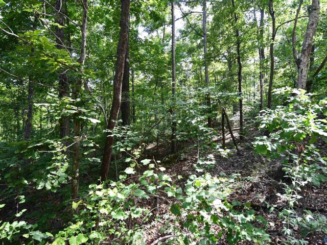 LOT 67 Prince Circle