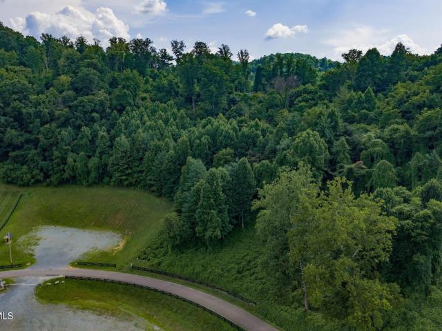 Lot 68 Cowan Town Road