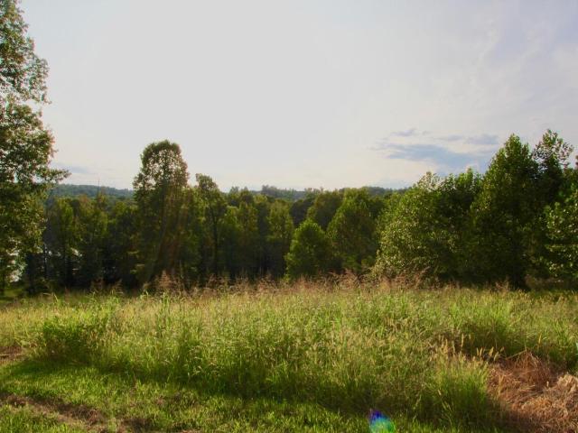 Lot 68 Kelsey Joe Lane