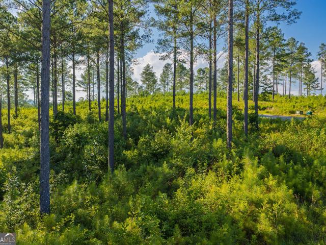 LOT 68 High River Road