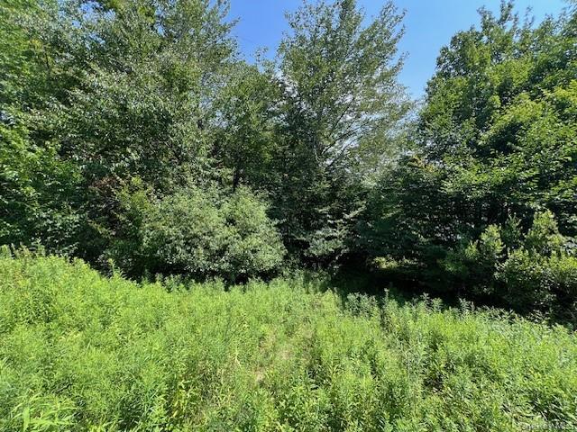 Lot 68 Shore Rd, Swan Lake, NY 12783 | MLS #919099
