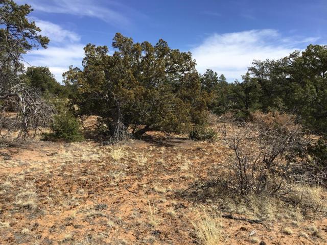 Lot 696 Gabe Road