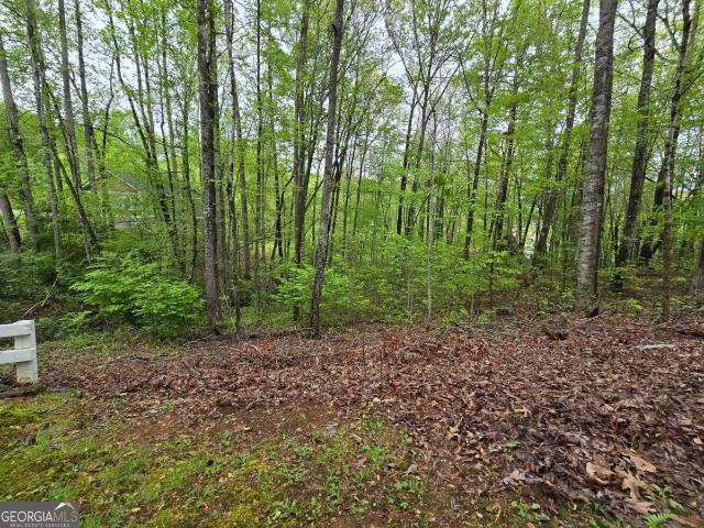 Lot 69 Chatuge Village, Hayesville, NC 28904 | MLS #10506