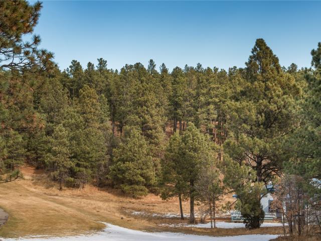 Lot 69 Avenida Lustrosos