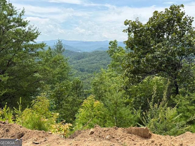 LOT 6 & 6B Steepway Ln