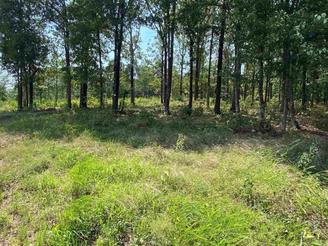 Lot 6 & 7 Bluff Dr