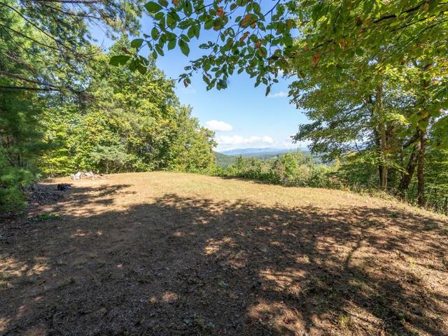 Lot 6 7 Raintree Bend, Blue Ridge, GA 30513 | MLS #419193