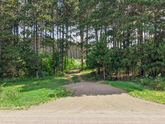 Lot 6 TBD Tulip Street NW