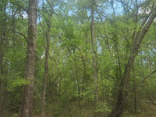 Lot 6 Thornwood Drive