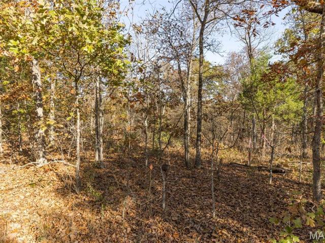 Lot 6 Thunder Ridge Rd, Richwoods, MO 63071 | MLS #25075