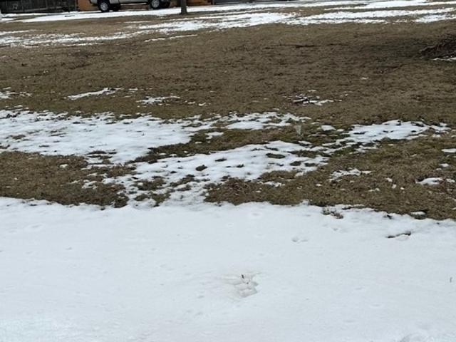 LOT 6 W Elm Street