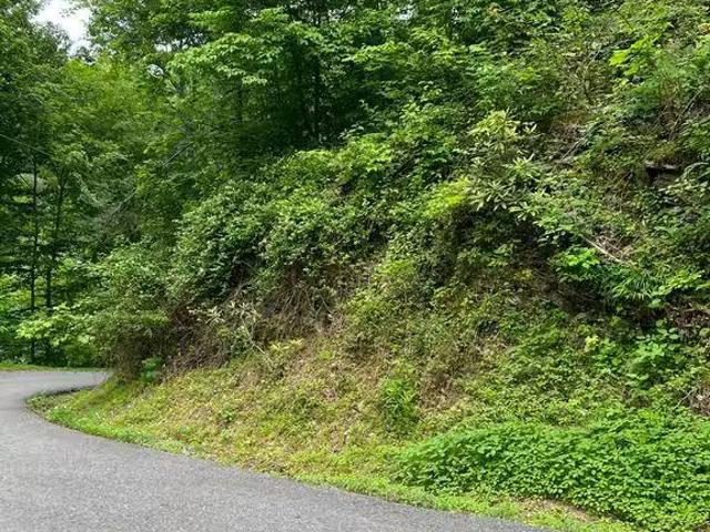 Lot 6 Wildcat Ridge Rd, Sevierville, TN 37862 Lot/Land for Sal.