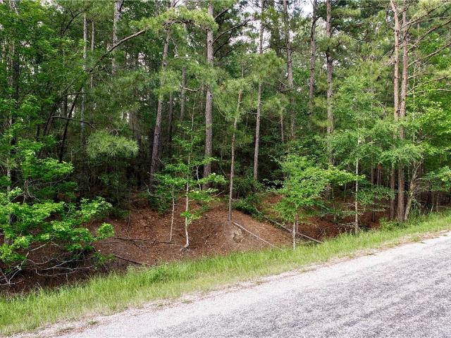 Lot 6 Willow Creek