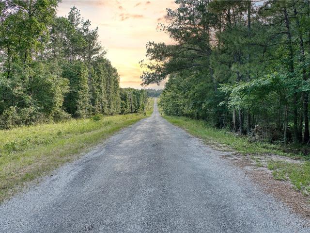 Lot 6 Willow Creek, Huntsville, TX 77340 | MLS #26005