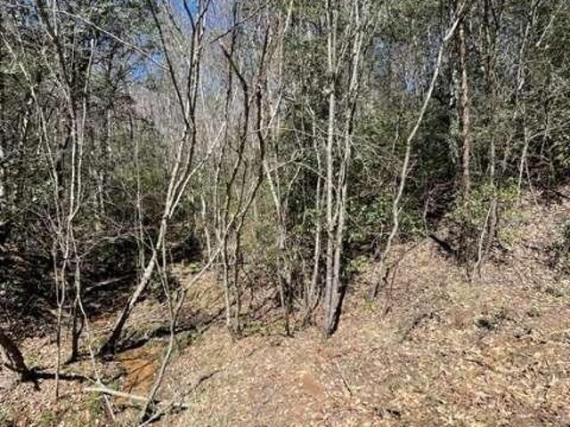 LOT 6 Willow Ridge