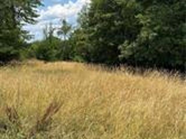 Lot 6 Wylie, Houston, PA 15342 | MLS #1712