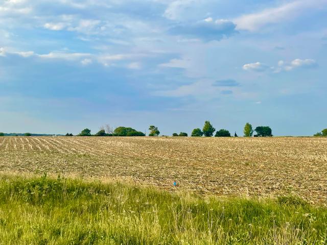 Lot 6 Ace Road
