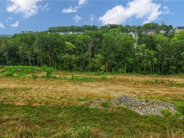 Lot 6 Beaver Grade Road