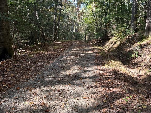 Lot 6 Beaverdam Loop