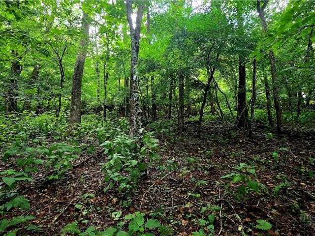 Lot 6 Boone Ridge Lane