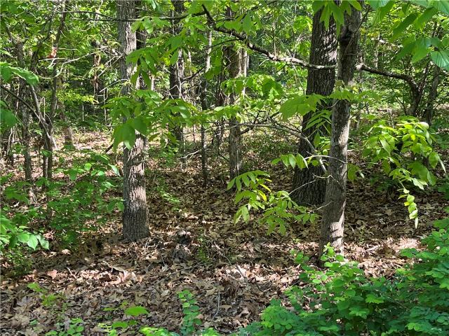 Lot 6 Block 8 Welland Lane