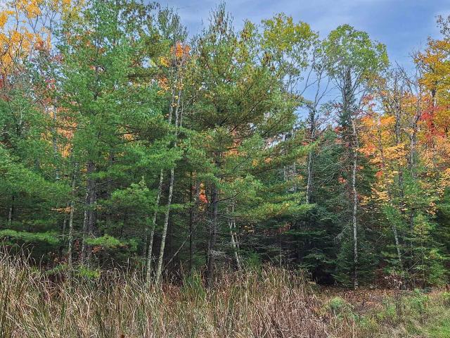 Lot 6 block Raspberry Trail, La Pointe, WI 54850 | MLS #6116