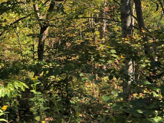 Lot #6 Buck Creek Circle