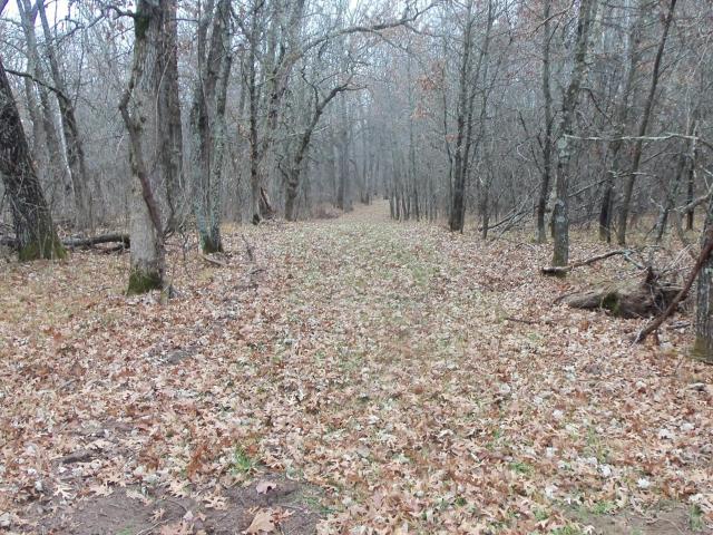 Lot 6 Canute Creek Trl