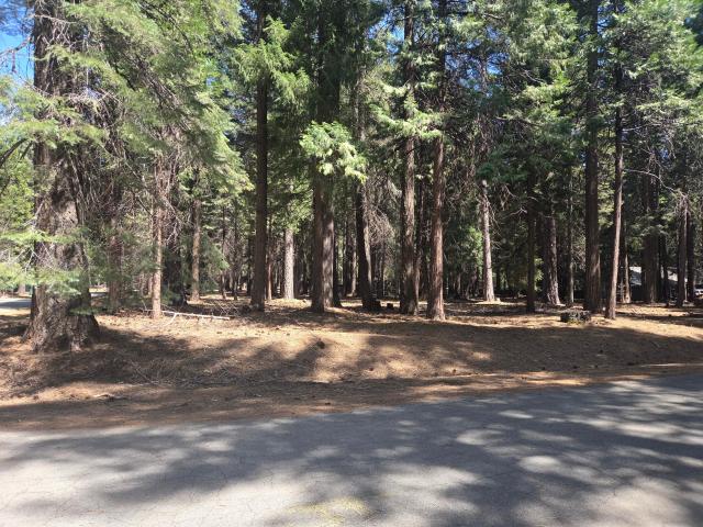 Lot # 6 Colossians Way