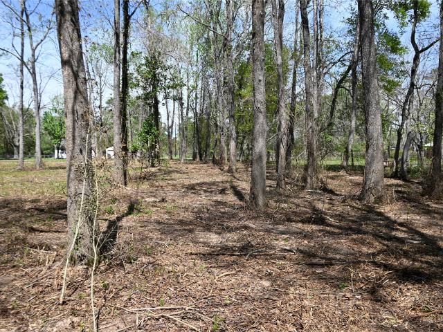 Lot 6 county road 2360