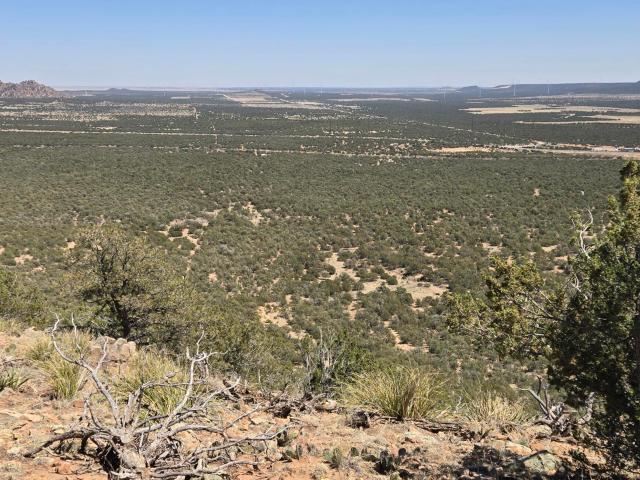 Lot 6 Crow Bait Trail