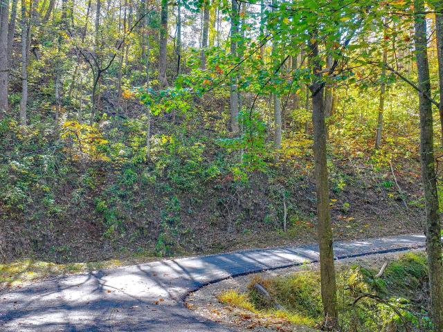 Lot 6 Emerald Springs Loop