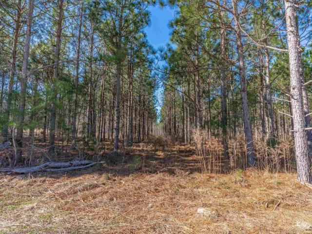 Lot #6 Fairview Road Lot #6