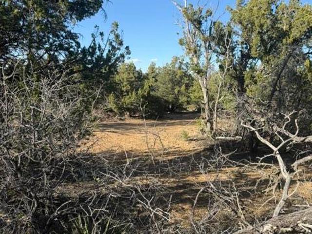 Lot 6 Five Gate Road