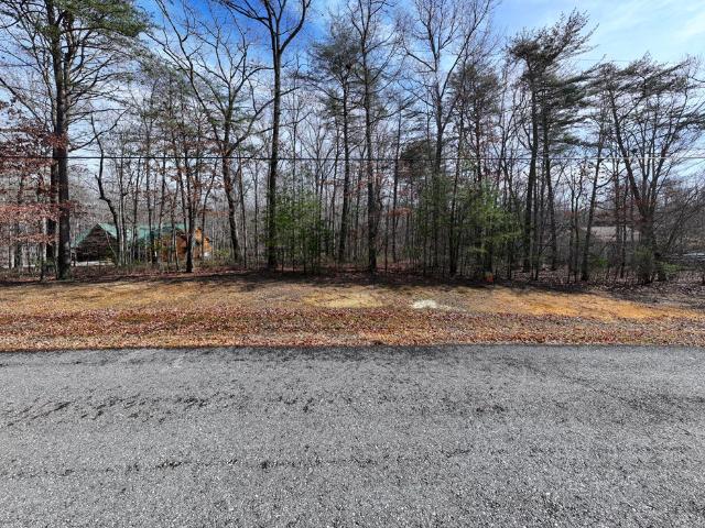 Lot 6 Forest View Dr
