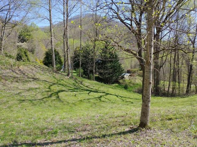 Lot 6 High Meadows, Hayesville, NC 28904 | MLS #416355 | Compass