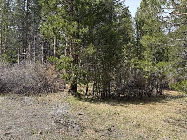 Lot 6 Hwy 158, June Lake, CA 93529 | MLS #260204