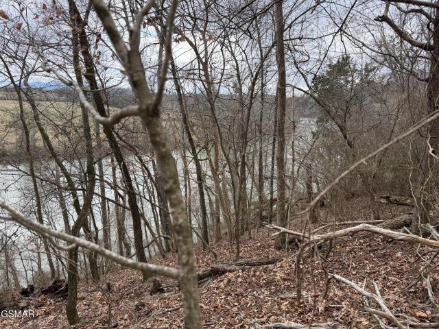 Lot 6 John Spears Way