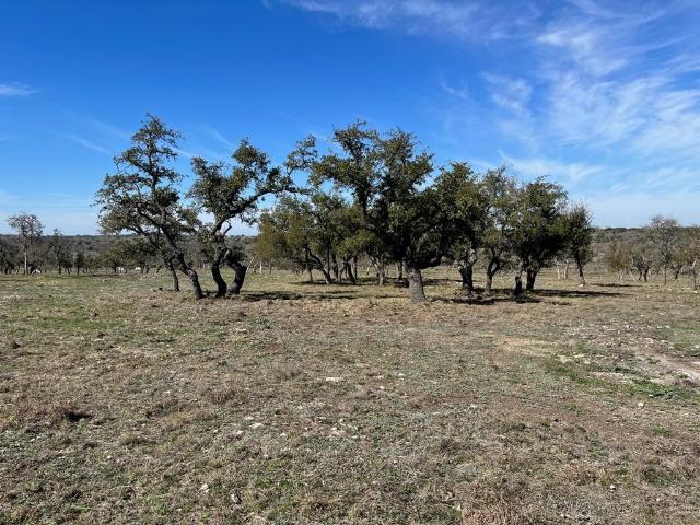 Lot 6 Jung Rd, Unit 6, Harper, TX 78631 | MLS #104100