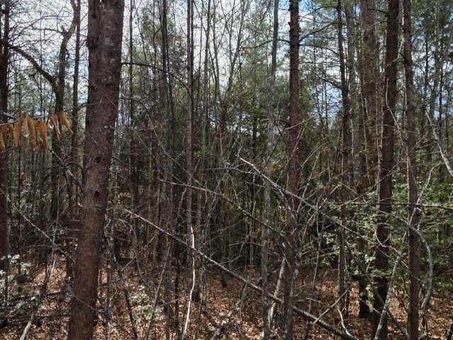 Lot 6 Kerlee Lane