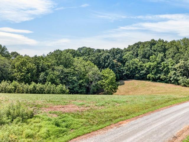 Lot 6 Lake Bluff Road