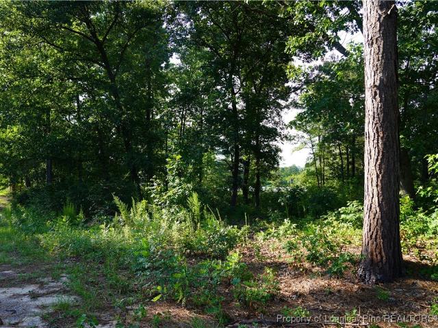 LOT 6 Lakeview Drive