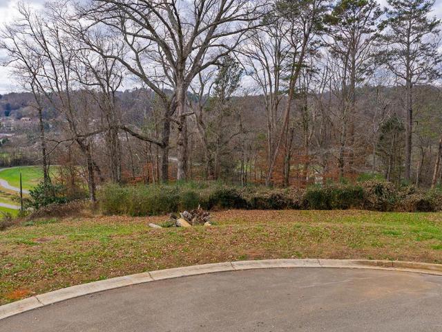 Lot 6 N Parkview Dr, Ellijay, GA 30540 | MLS #420518