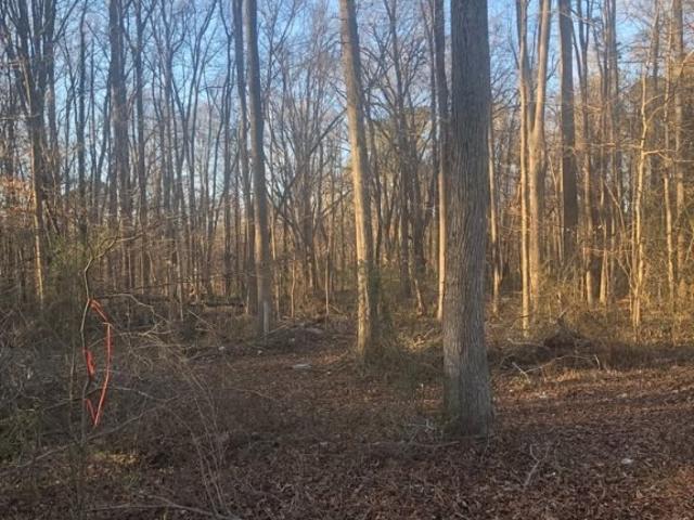 Lot 6 Old Cox Road