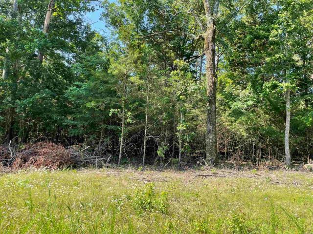 Lot 6 Pleasant Ridge Road