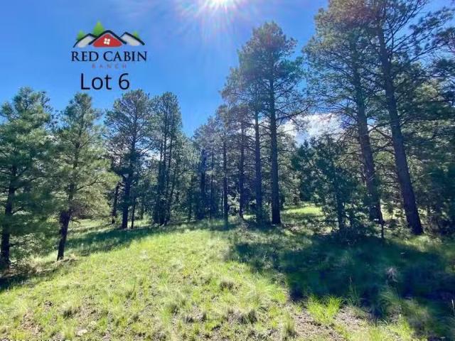 Lot 6 Red Cabin Ranch, Vernon, AZ 85940 MLS 253377