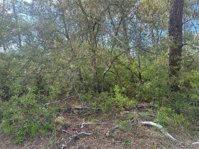 Lot 6, Southwest 170th Place, FL 34473