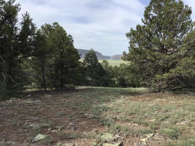Lot 6 Sunflower Drive