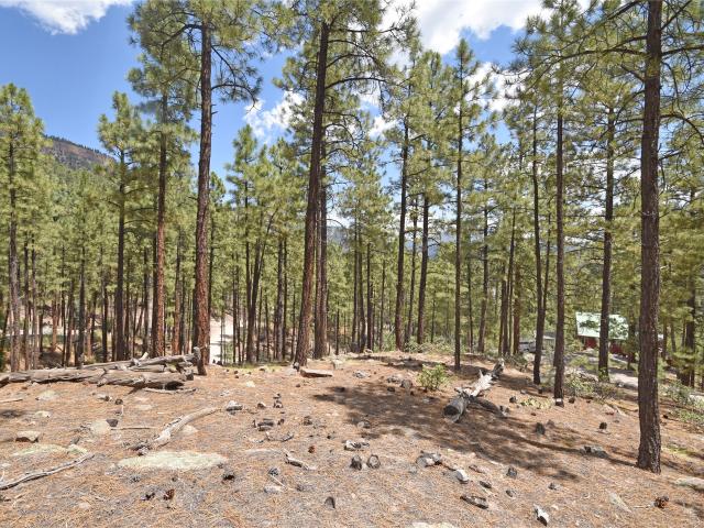 Lot 6A Cool Pines