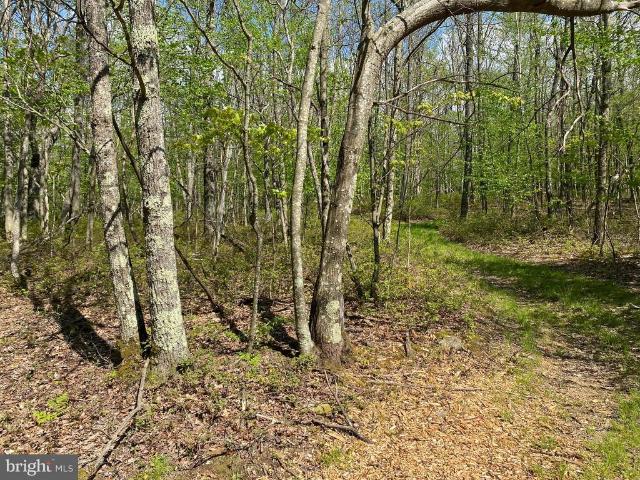 LOT 6B Betts Lane